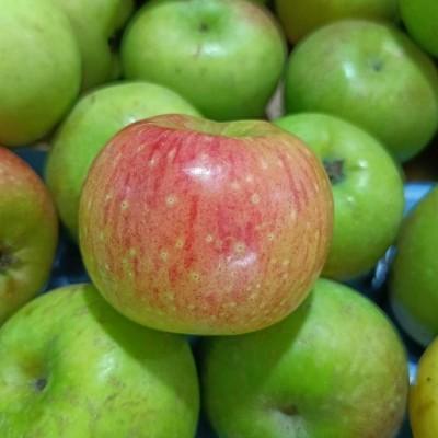 Produk - Hari Buah
